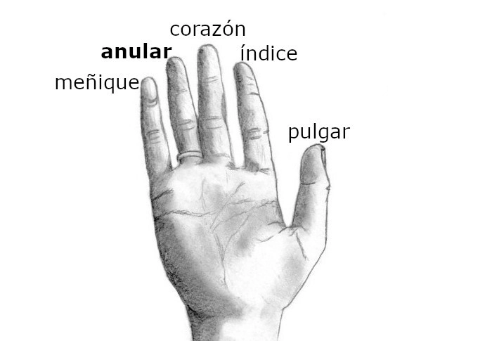 ¿En qué mano llevar los anillos de compromiso? Tradición y significado ...